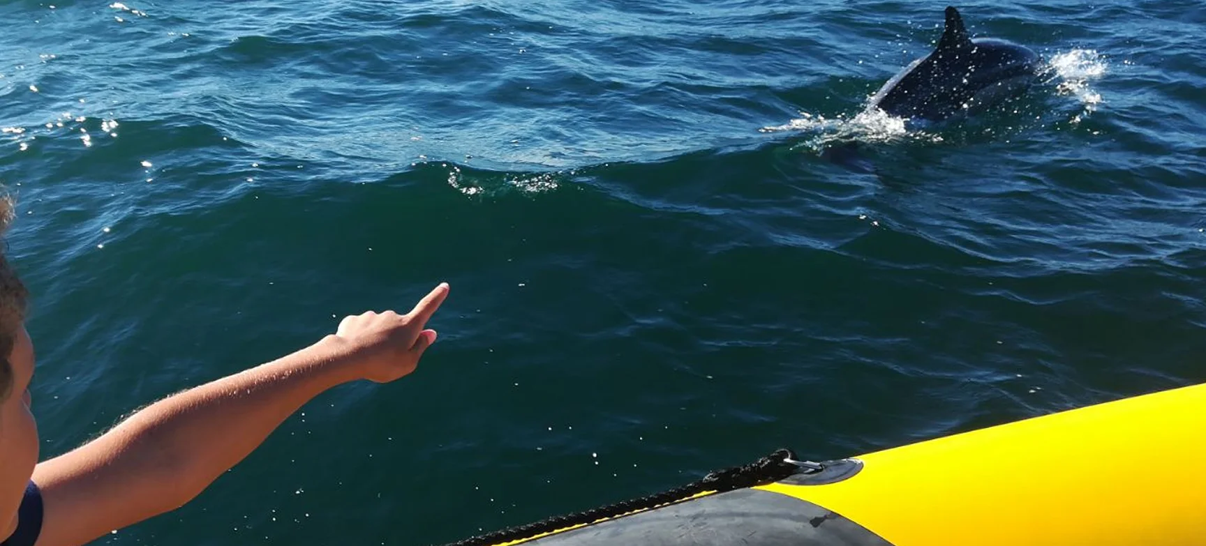 Fast Boat - Berlenga Tours